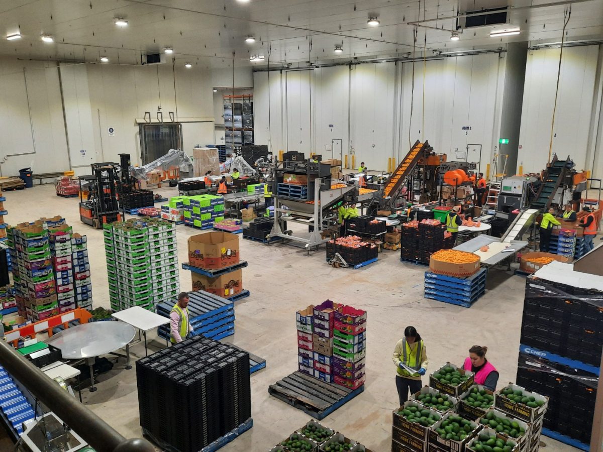 Murray Bros celebrates 100 years of trade! - Murray Bros Pty Ltd